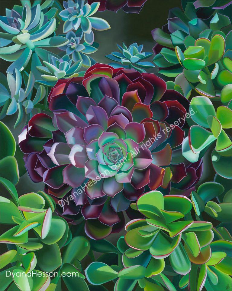 Fairyblooms – Succulents in the Light of Day SOLD – Dyana Hesson