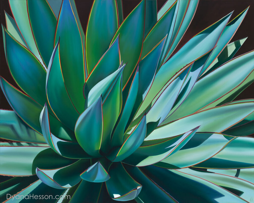 Plant in Full Sun – Agave Blue Glow – Dyana Hesson
