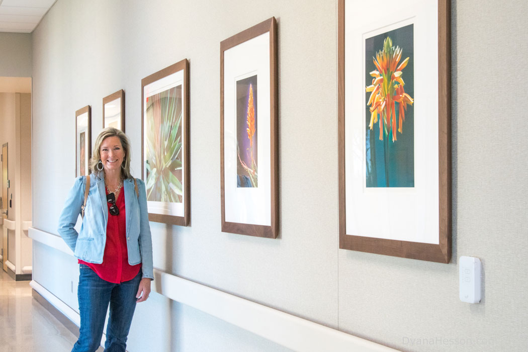 dh2022-Mayo-Clinic-Art-101-prints – Dyana Hesson