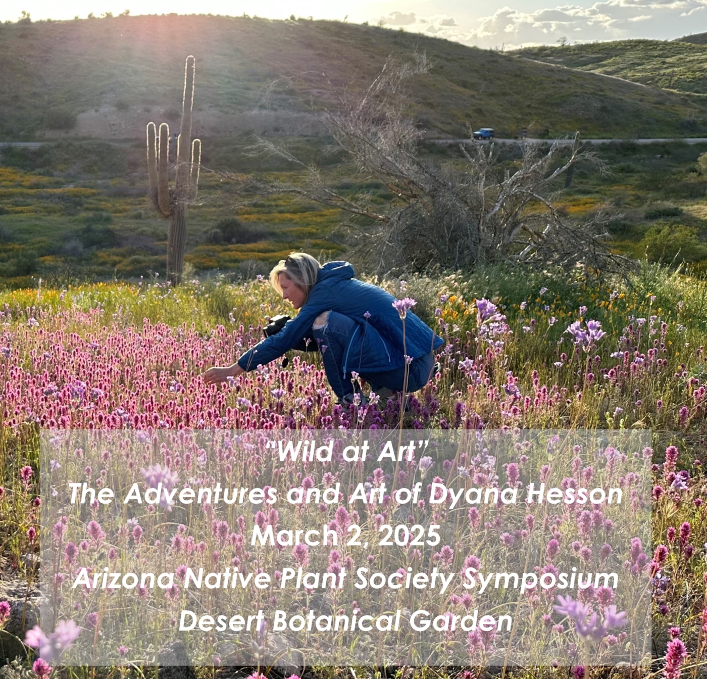 Native Plant Society Talk march 2 2025 – Dyana Hesson